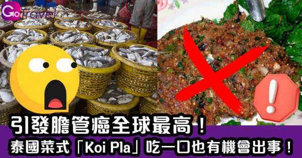 泰國菜式「Koi Pla」吃一口也有機會出事！引發膽管癌全球最高！ - GOGOAdvise - Travel 旅遊日記